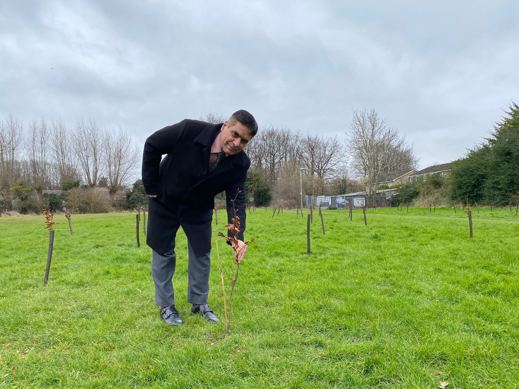 Over 357 trees planted across Luton – Luton Rising